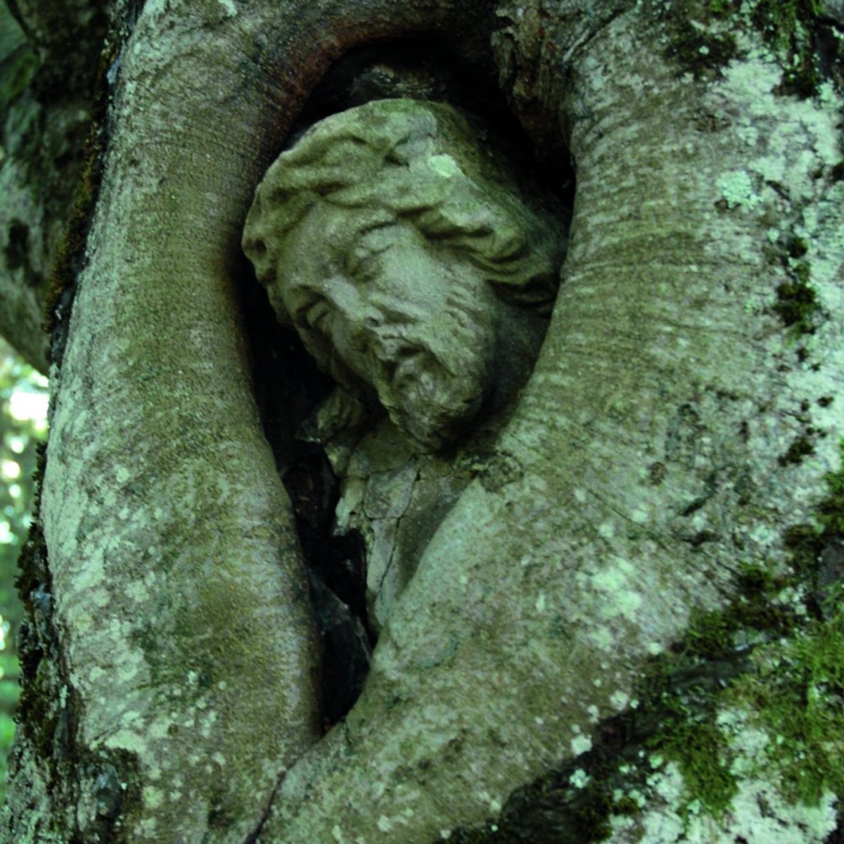 Tales from the Black Forest - The Balzer Crucifix | Monkey 47 ...